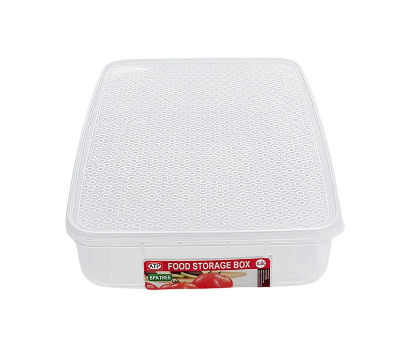 2.5L Plastic Food Storage Box 27x20x6cm